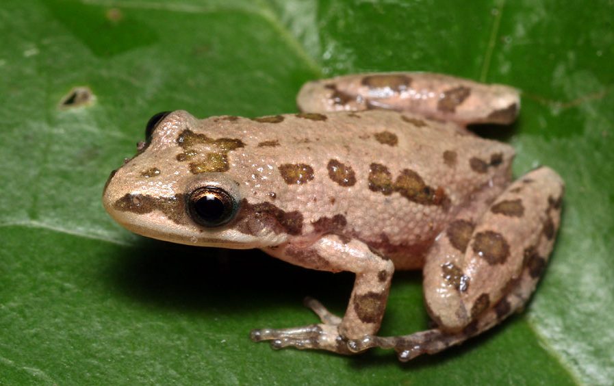 Home - Kawartha Land Trust